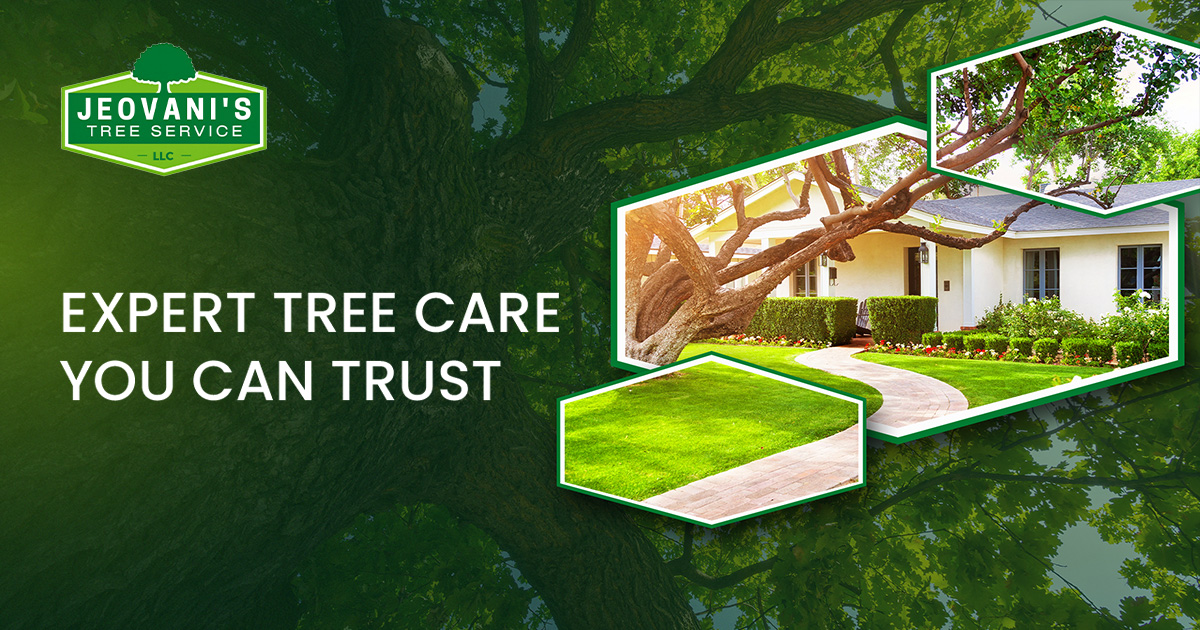 Contact Us | Northern Virginia Tree Services Company