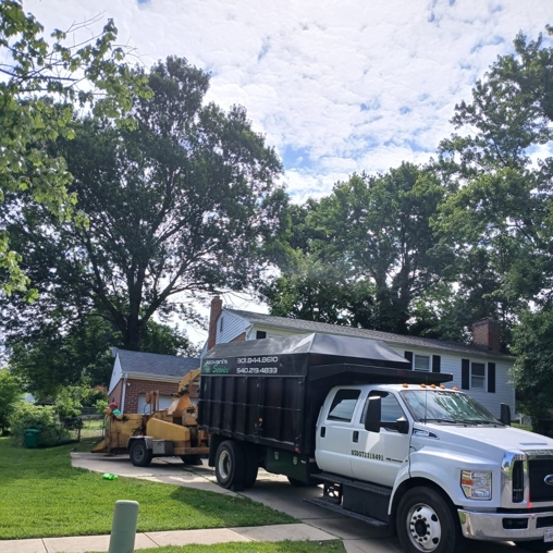 Tree Care in Northern Virginia | Jeovani's Tree Service